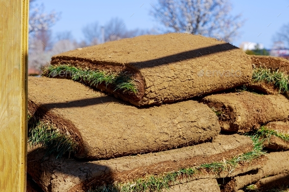 Pallet with stacked rolls of lawn in the for new lawn, grass ...