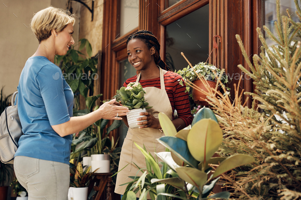 Happy black florist serving a customer and showing her potted flowers ...