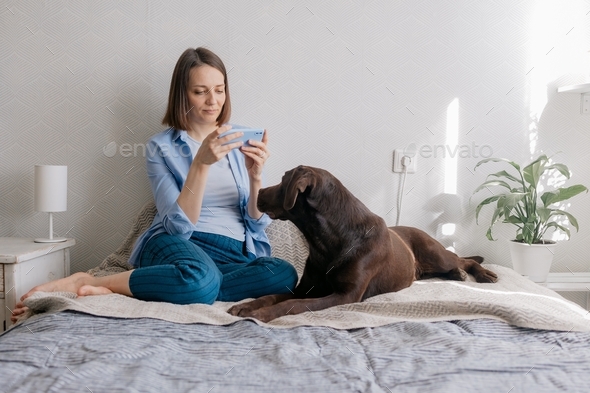 woman and dog, care and love for pets, home dog on bed with his ...