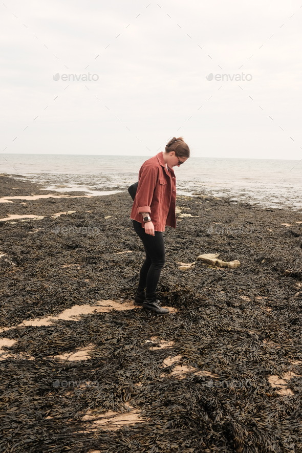 Seaweed Stock Photo by jason_storer | PhotoDune