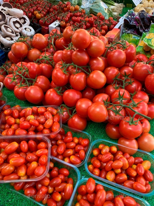 Tomatoes for sale on a market stall Stock Photo by SteveAllenPhoto999
