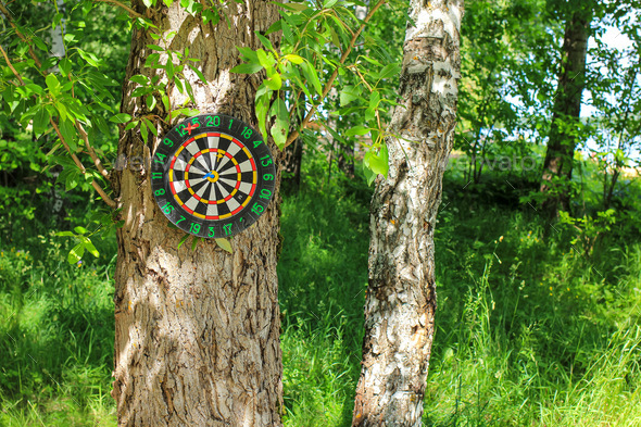 Target with the thrust darts on a tree in the Park. Outdoor recreation ...