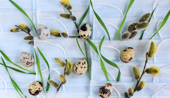 Coronavirus easter card. Quail eggs, willow branches and fresh grass on ...