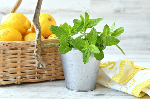 A bouquet of mint springs in the kitchen by a basket of lemons, yellow ...