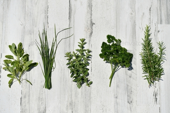 Flat lay, overhead top view of fresh green herbs Oregano, parsley, sage ...