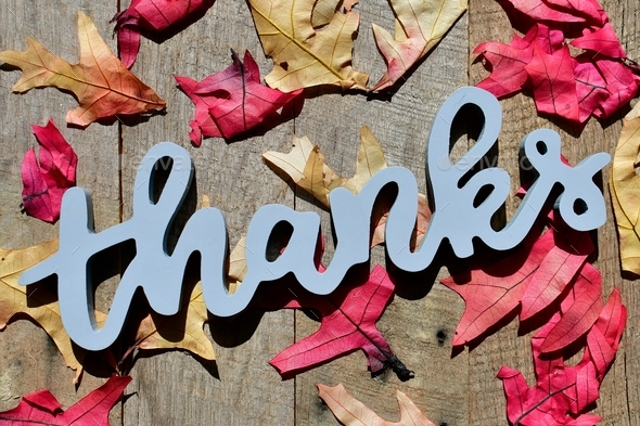 THANKS sign with colorful red yellow fall foliage, autumn leaves ...