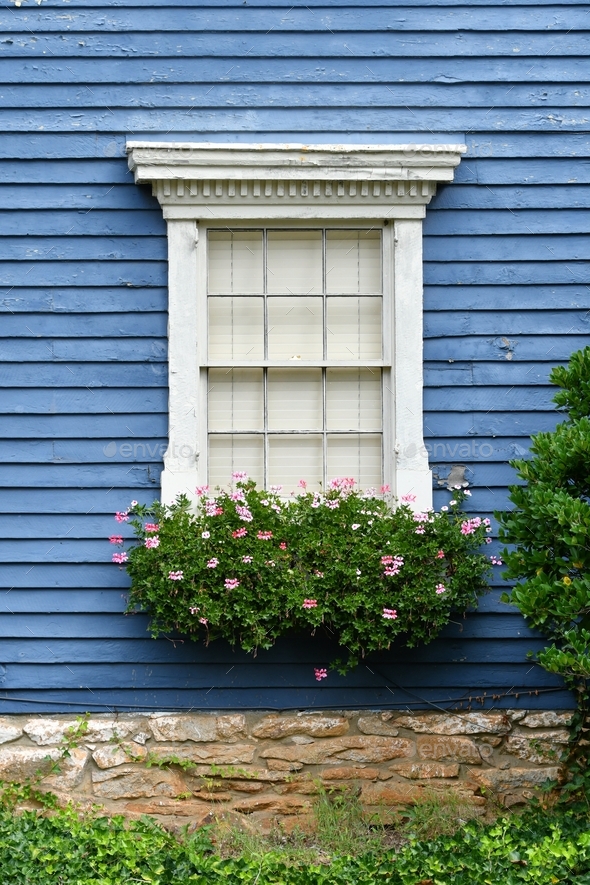 Bright blue wall with a white window accented by window box full of ...