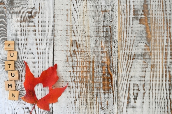 Red maple leaf with a heart cutout, word AUTUMN on whitewashed ...