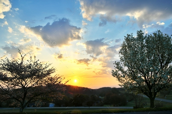 Vibrant spring sunrise with clouds in the sky and flowering trees in ...