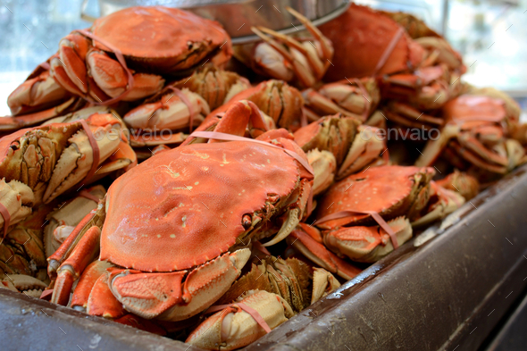 A bin of fresh orange crabs for sale in an outdoor market at Fisherman ...