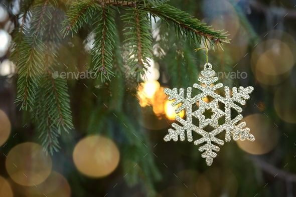 Gold glitter Christmas star or snowflake hanging in evergreen pine tree ...