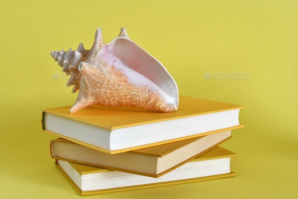 Beach reads - a conch shell on top of yellow hardback books with yellow ...