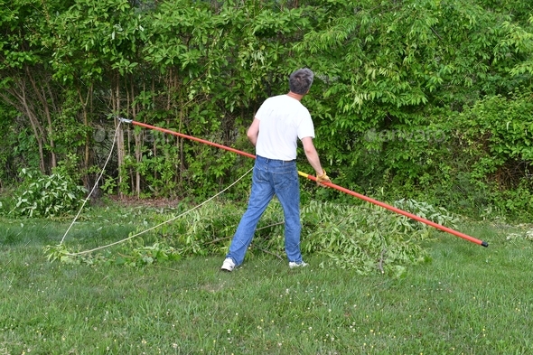 Male using a extension pole trimmer to cut off high branches from trees ...