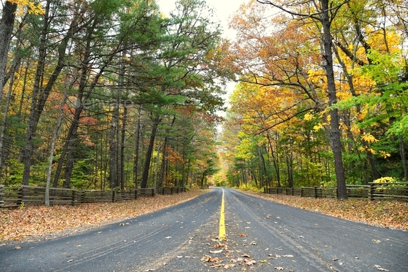 Open road trip drive in the fall or autumn season - middle of an empty ...