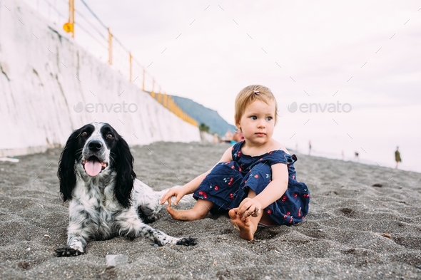 Little cute girl with Russian cocker spaniel playing on the sand on the ...