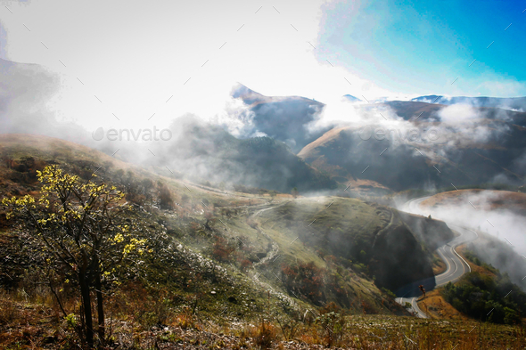 Misty south African landscape in the high veld of mpumalanga Stock ...