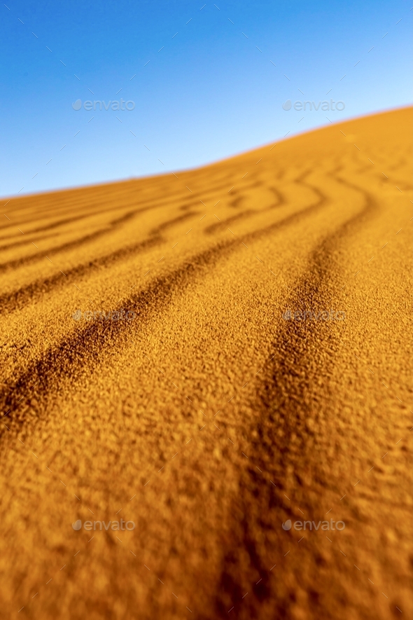 Leading lines Sahara desert Stock Photo by moniquewray | PhotoDune