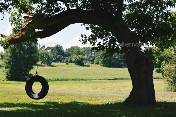 Tire swing under a big tree in a beautiful countryside Stock Photo by ...