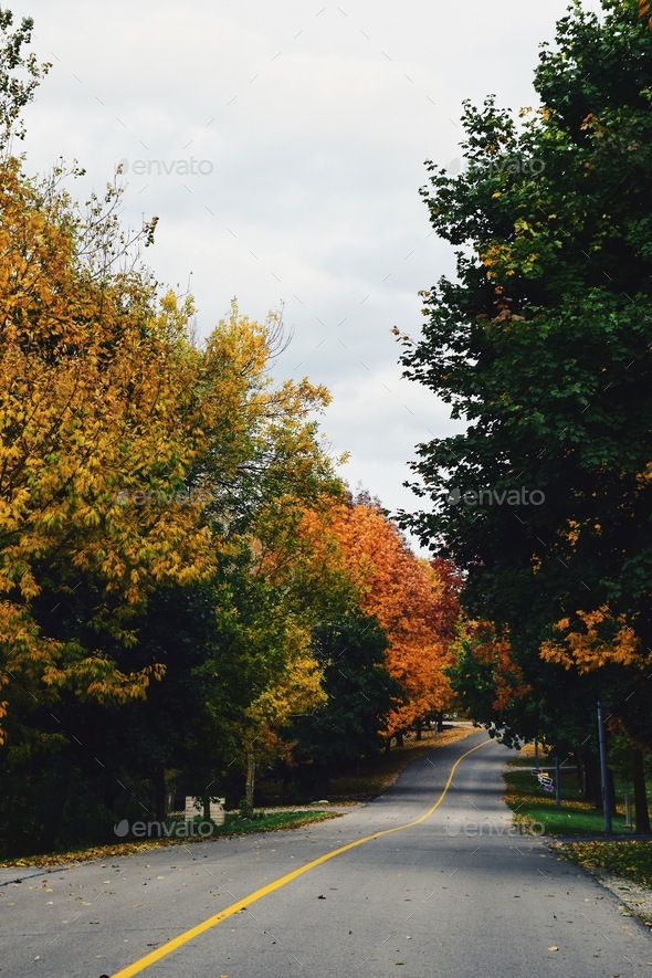 Small town neighborhood street scene in a fall with beautiful autumn ...