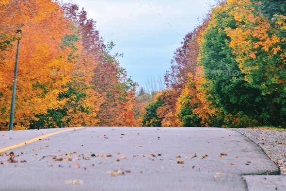 Small town neighborhood street scene in a fall with beautiful autumn ...