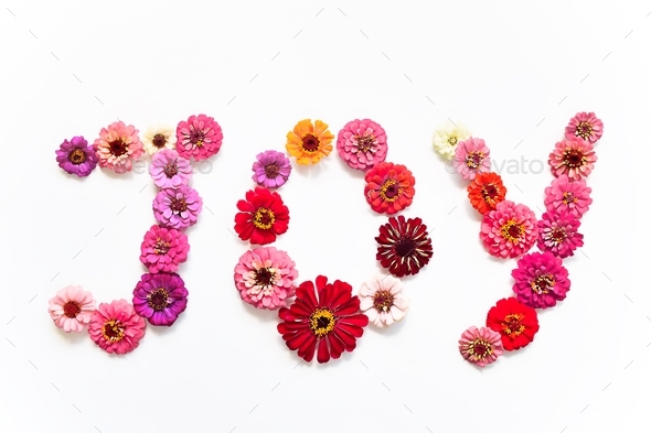 Word JOY made of bright colorful zinnia flowers on white background ...