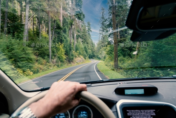 Winding road through beautiful green forest from driver perspective ...
