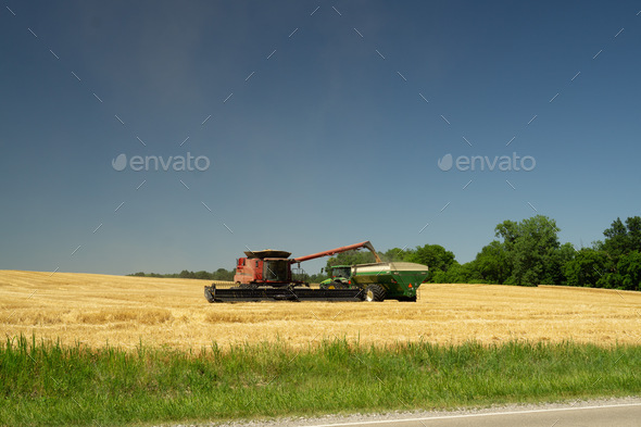 Combine unloading harvested wheat grains into wagon pulled by a tractor ...