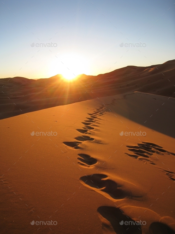 Camel footprints Stock Photo by Lightitup_now | PhotoDune