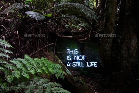 White neon light sign with words This is not a still life, life is full ...