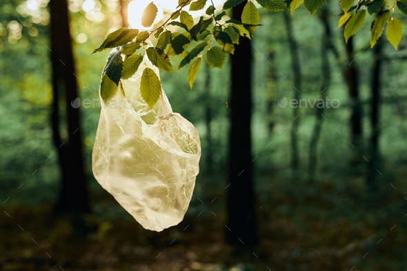 Plastic waste left in forest. Concept of plastic pollution and ...