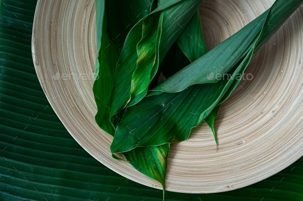 daun kunyit or turmeric leaves on a bamboo plate top view Stock Photo ...