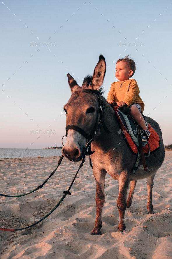 child in a yellow jacket rides a donkey on a sandy beach along the sea ...