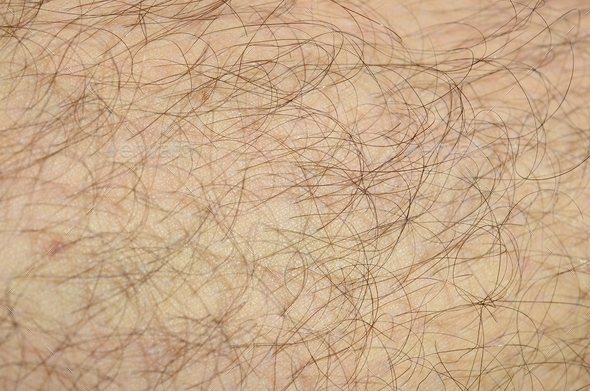 Close up detail of human skin with hair. Mans hairy leg Stock Photo by ...