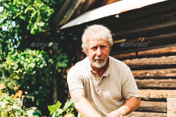Elder senior mature gardener man on farm. Growing. Harvest. Stock Photo ...