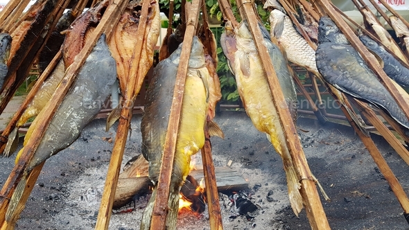 Fish on sticks roasting around a fire. Stock Photo by 9_fingers ...