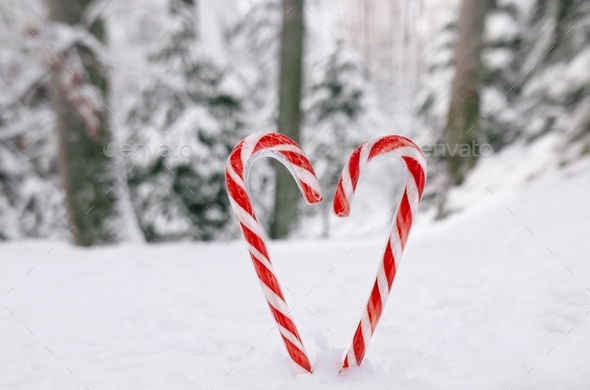 Depth of field photo of Candy canes shaping a heart in snow on path in ...