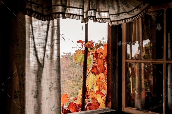 Idyllic view through wooden window of a cabin in autumn. Stock Photo by ...