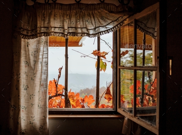 Idyllic view through wooden window of a cabin in autumn. Stock Photo by ...