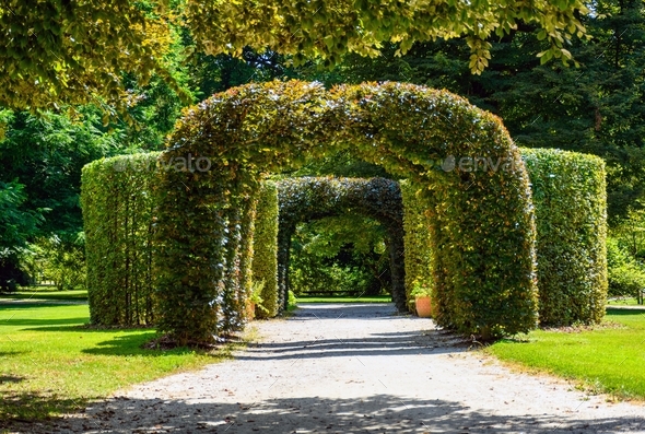 Pathway in beautiful park with lush greenery and arch shaped hedge ...