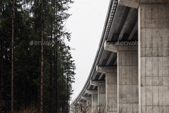 Underside of an elevated road, highway, columns, concrete, trees ...