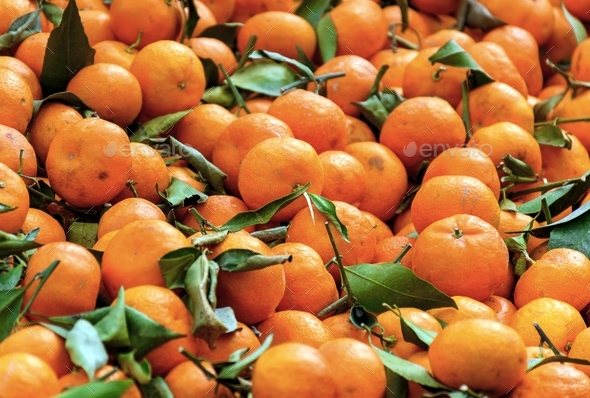 Pile of Mandarin oranges for sale on local farmers market stall. Stock ...