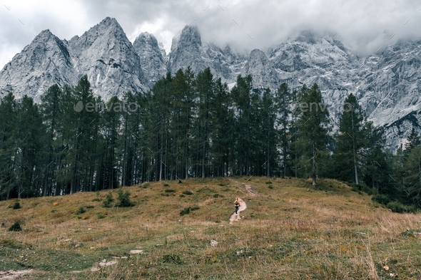 Tiny human, hiker standing on path leading to forest under misty ...