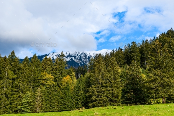 Vibrant alpine landscape, trees, mountain, plain, blue sky, clouds ...