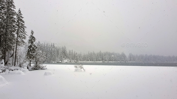 Scenic winter landscape with snowy forest and trees by a frozen lake on ...