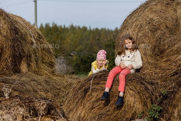 two sister girls play on a haystack in the village Stock Photo by aliliya