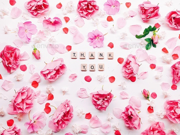 Thank you Stock Photo by ElinaVeresk | PhotoDune