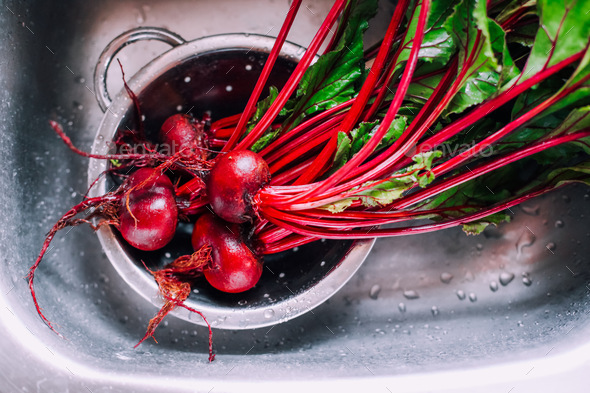 Beetroot, washing vegetables Stock Photo by ElinaVeresk | PhotoDune