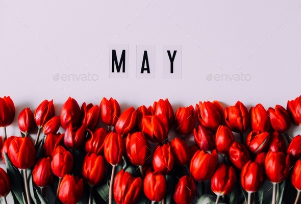 Month of May, May background, calendar month Stock Photo by ElinaVeresk