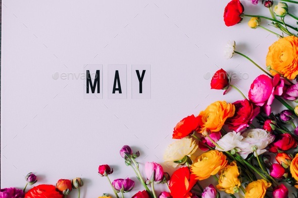 Month of May, May background, calendar, may and colorful ranunculus ...