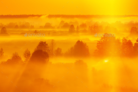 Morning Fog Illuminated By Sun Covers Plain Landscape. Sunrise Natural ...